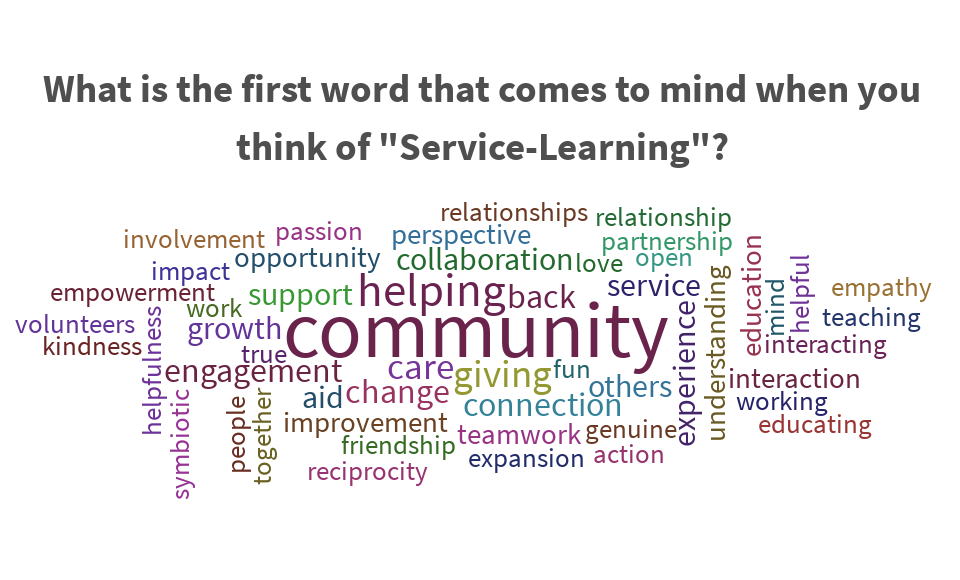Service-Learning Students Connect With Community In Trying Times ...