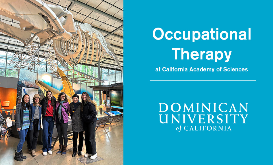 OT Graduate Students Assisting California Academy Of Sciences ...