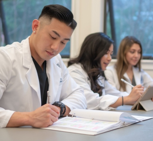 Occupational Therapy Degree | Dominican University of California