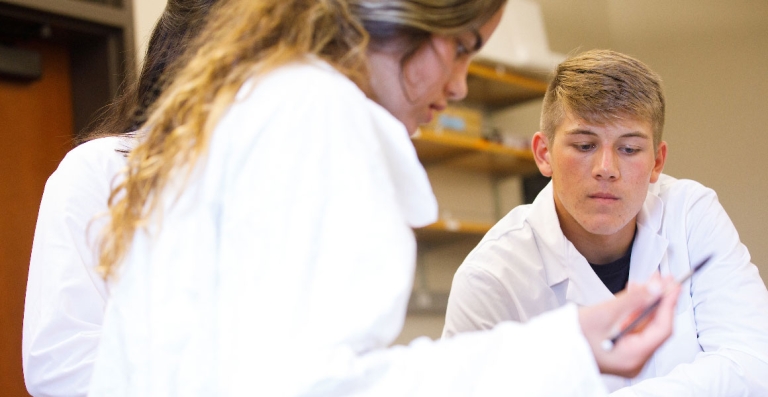 Post-Bac Premedical Certificate | Dominican University